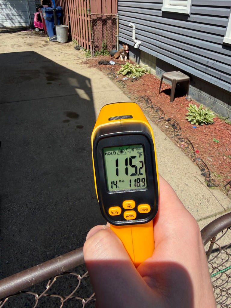 Leaving your dog out on 80-degree days? Michigan city will cite you
