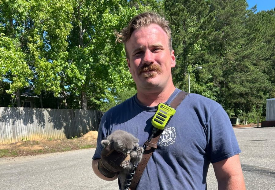 Kitten spends weekend stuck under car, saved by Conway firemen