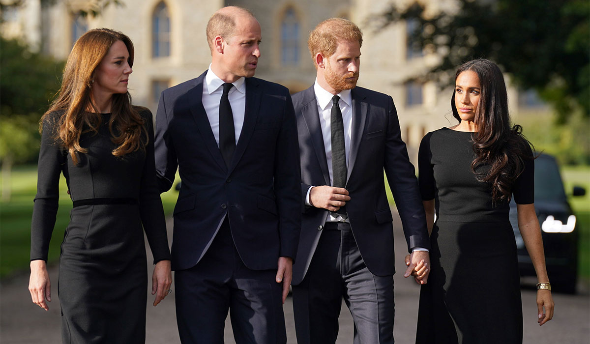 Prince Harry quietly lashing out at William as he and Meghan snubbed ...