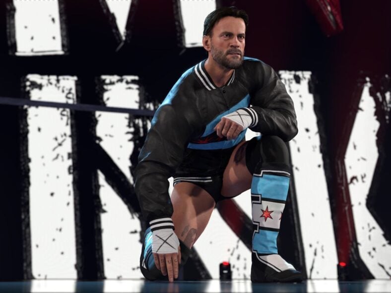 Take-Two boss Zelnick joins WWE 2K26 as playable character