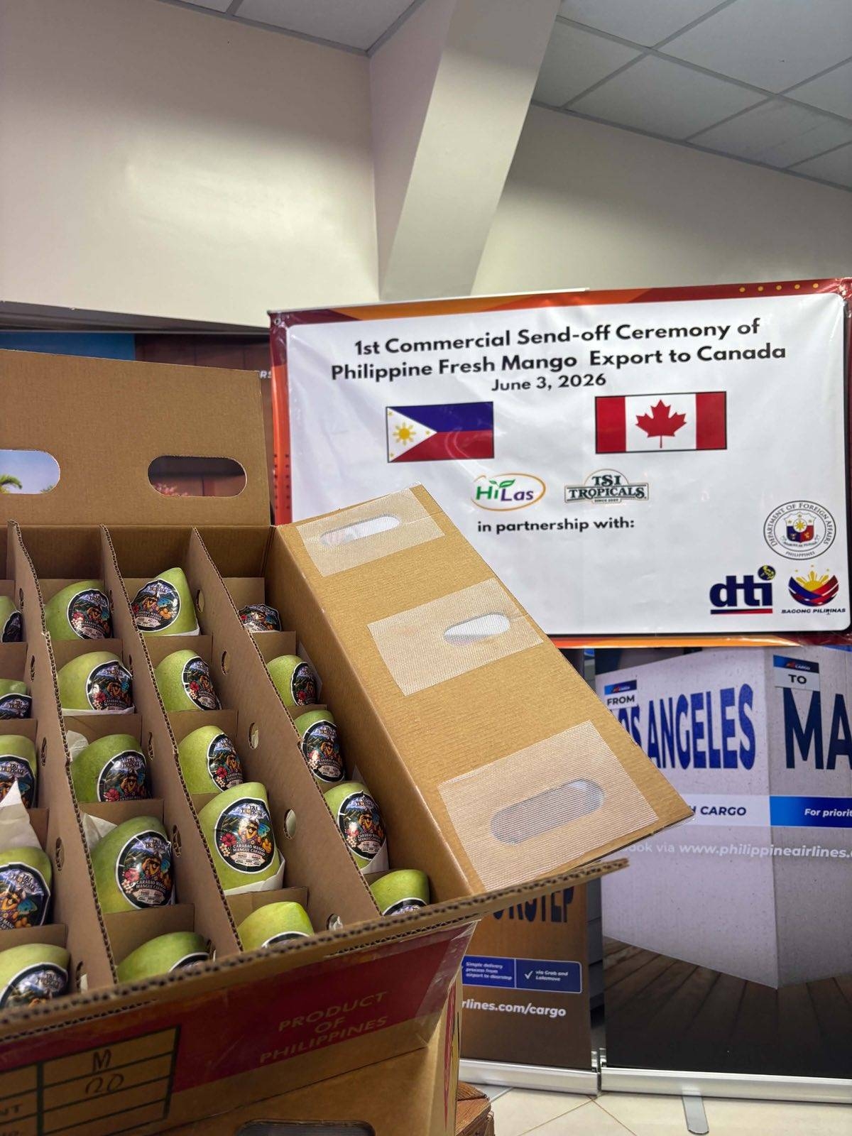 PH starts exporting carabao mangoes to Toronto