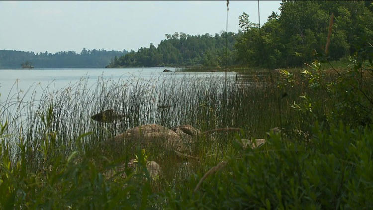 Superior National Forest bans campfires in BWCAW