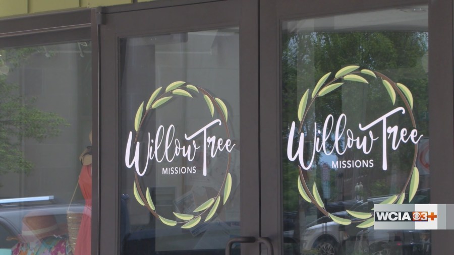 Willow Tree Missions collecting feedback on what changes should be made ...