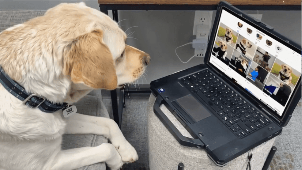 State police emphasize child safety during Internet Safety Month