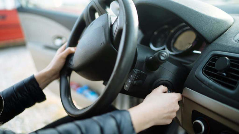 Quebec men among those arrested after Ontario police disrupt auto theft ...