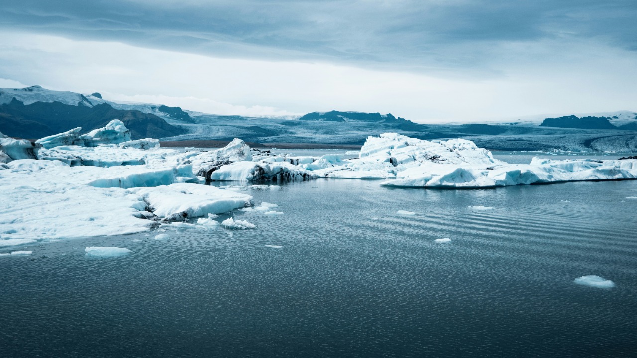 Loss of Arctic sea ice has tipped the ocean from light-limited to ...