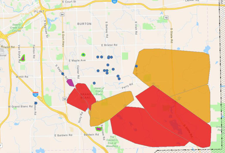Thousands lose power in Genesee County after tree falls on lines
