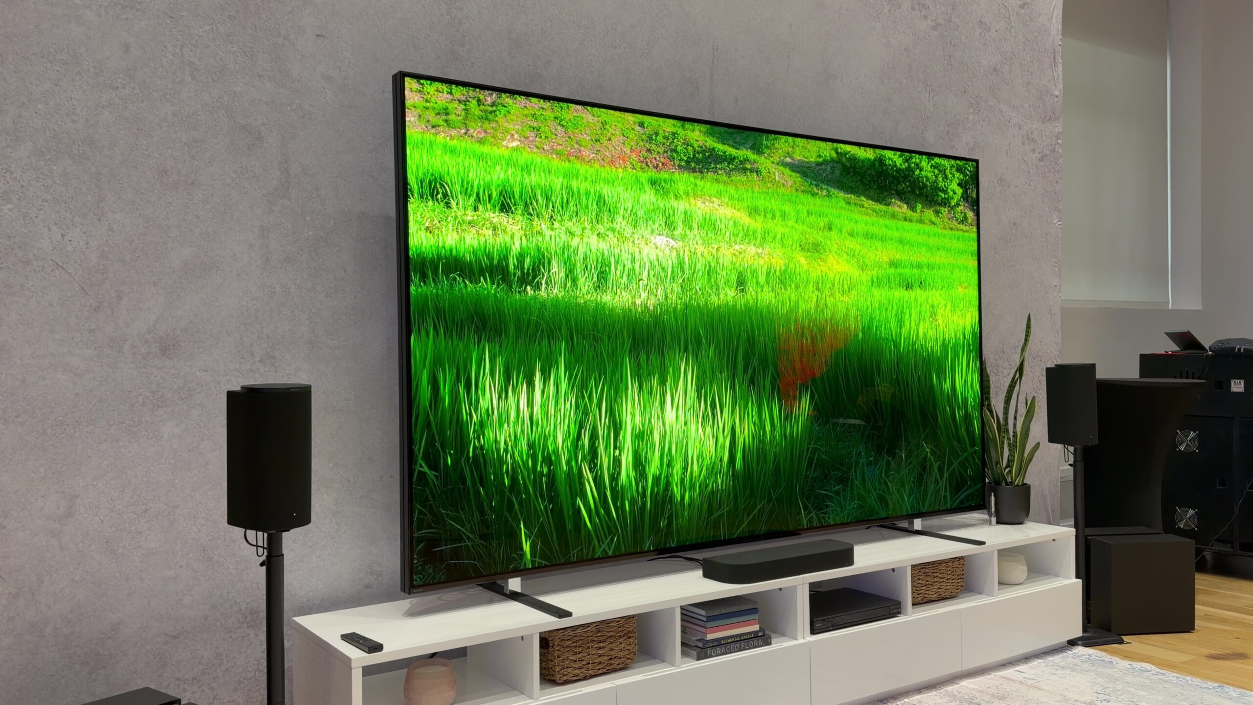 Sony’s true RGB technology is aiming for the best of OLED and mini LED