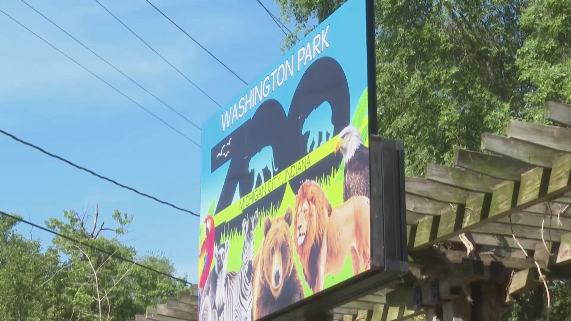 Two Indiana zookeepers attacked by wolves inside enclosure