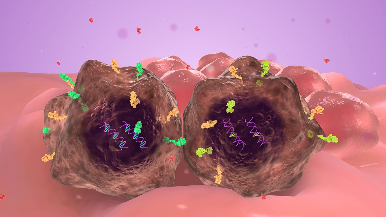 Disabling a single protein called NFIL3 kept CAR T-cells fighting ...