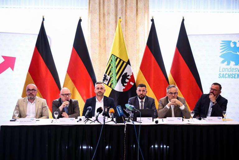 German far-right party takes aim at domestic security services