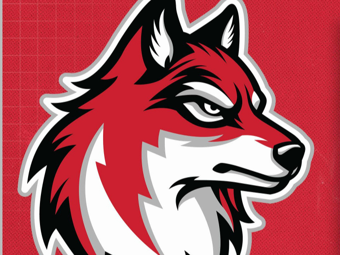Pittsburgh-area university changes sports teams' name, logo