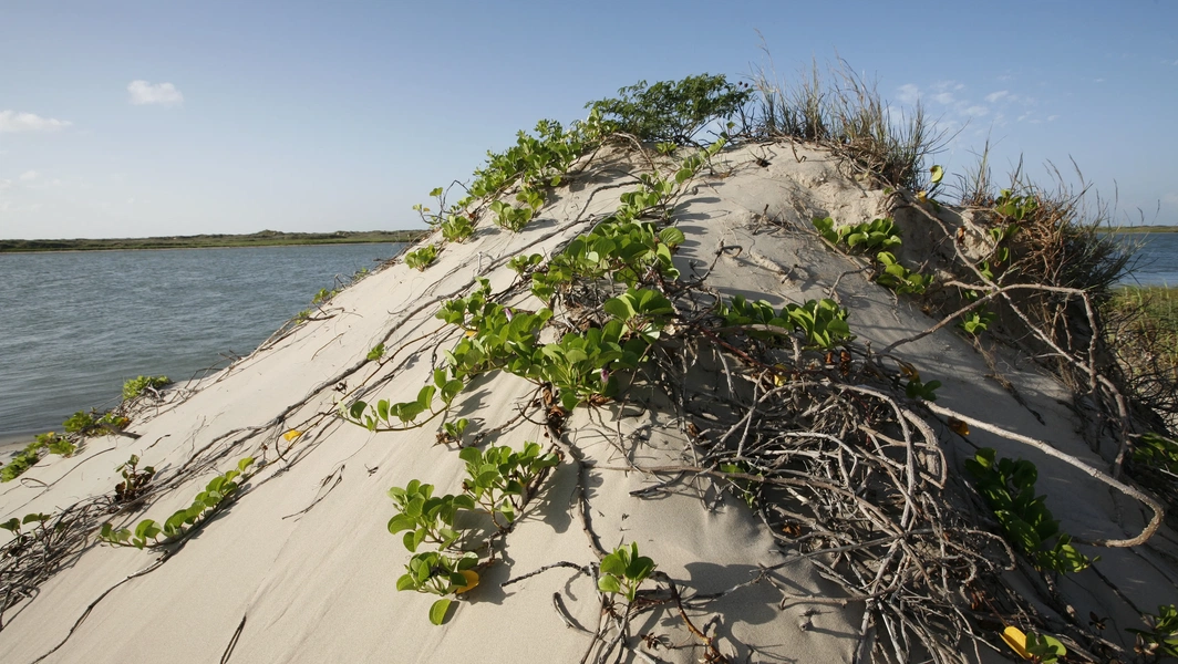 Texas barrier islands: Wildlife, conservation, and coastal landscapes