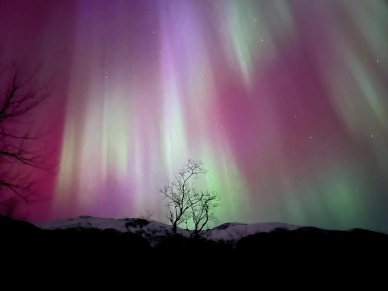 Northern lights could dazzle in several states as sun ejections ...