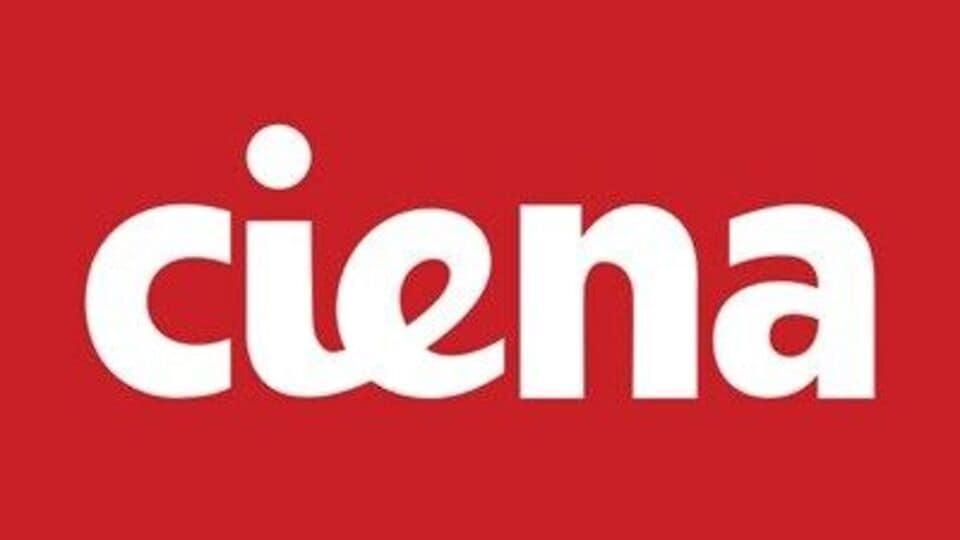 Ciena Corp shares plunge nearly 15% despite stronger-than-expected earnings