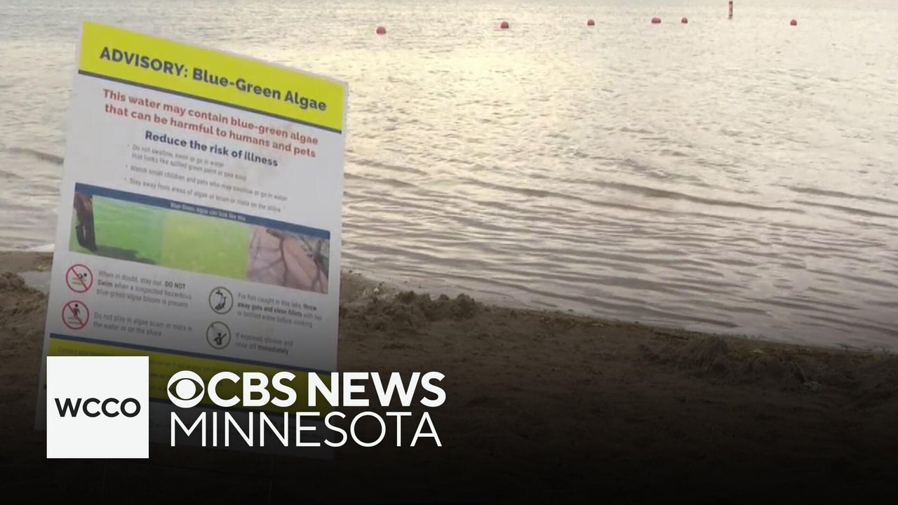 Minneapolis lake under blue-green algae advisory