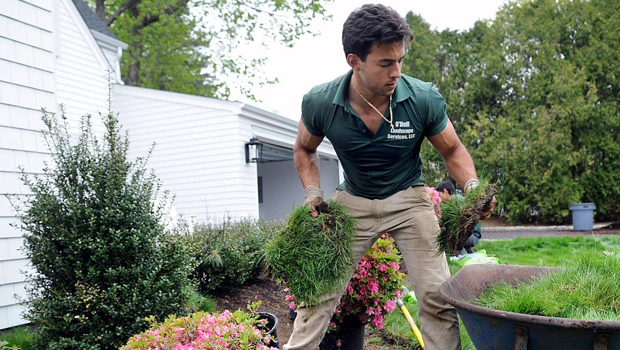 15 common yard and landscaping mistakes