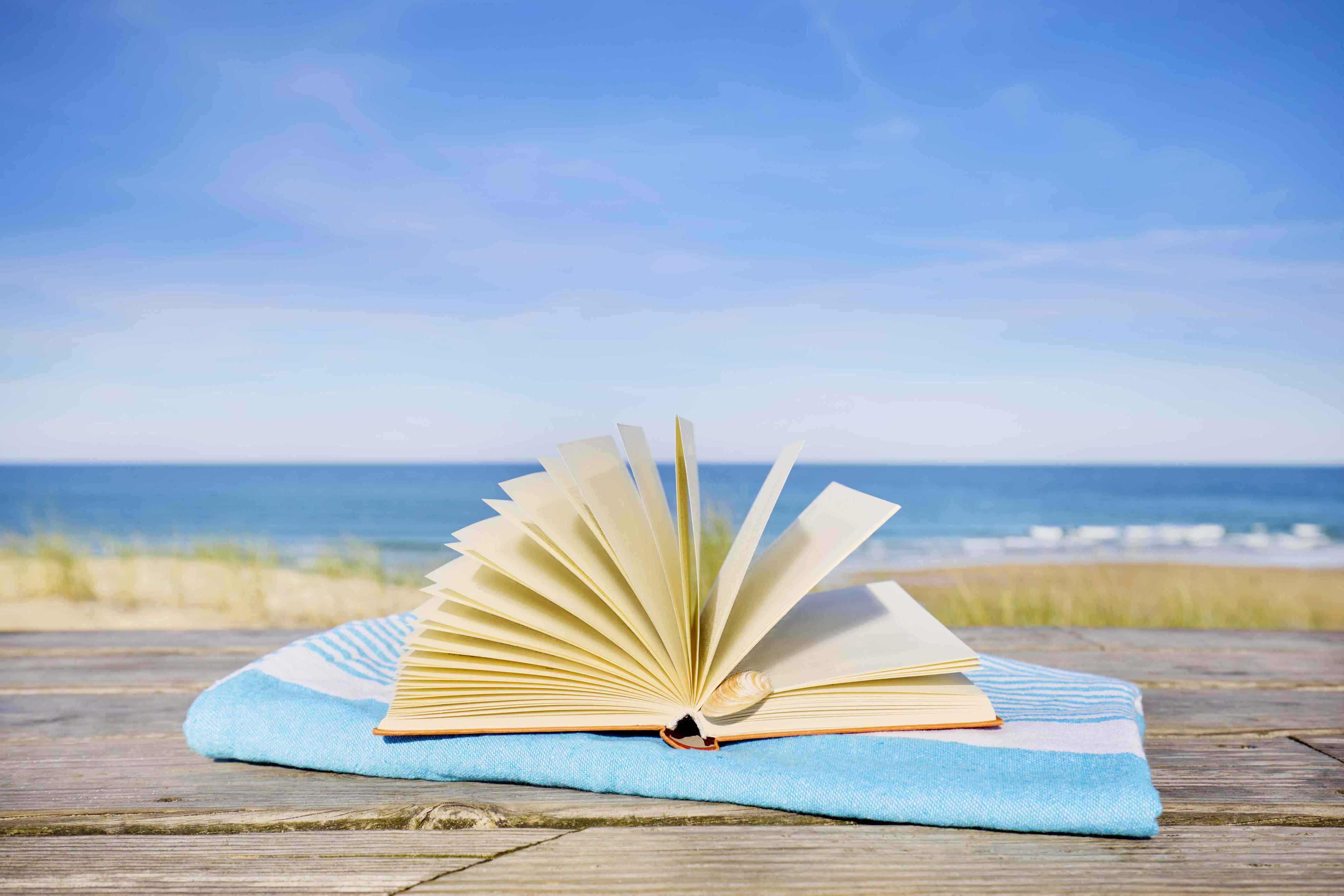 The 2 summer books my picky book club actually agreed on—and a few ...