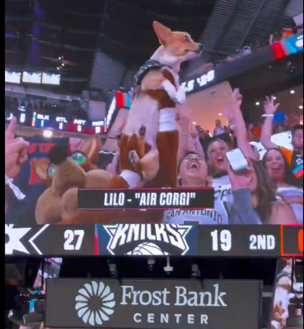 Air Corgi’s NBA Finals Game 1 appearance backfires on Spurs fans