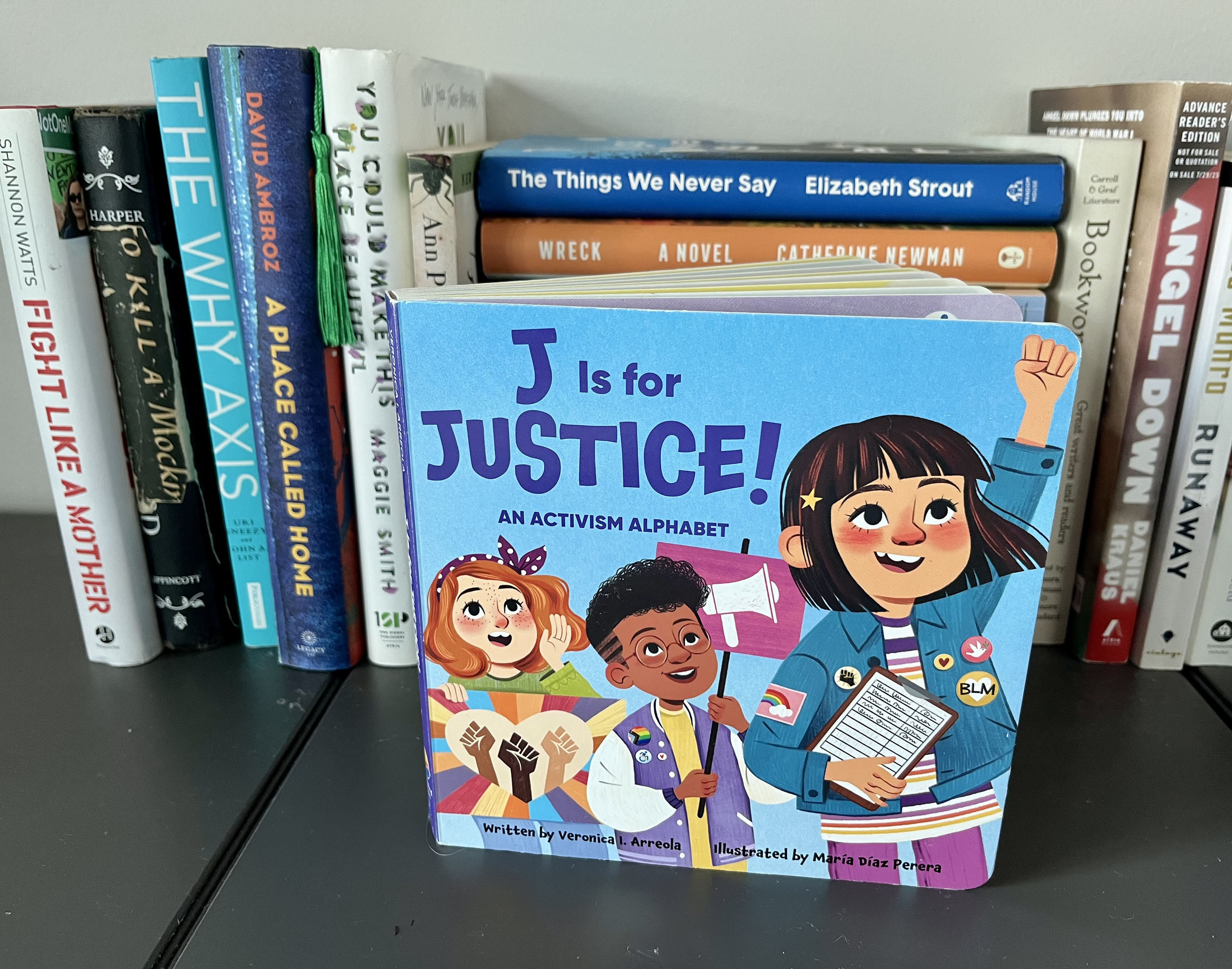 Heidi Stevens: How an author found her children's book on a banned ...
