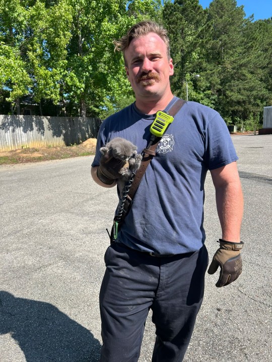 Kitten spends weekend stuck under car, saved by Conway firemen