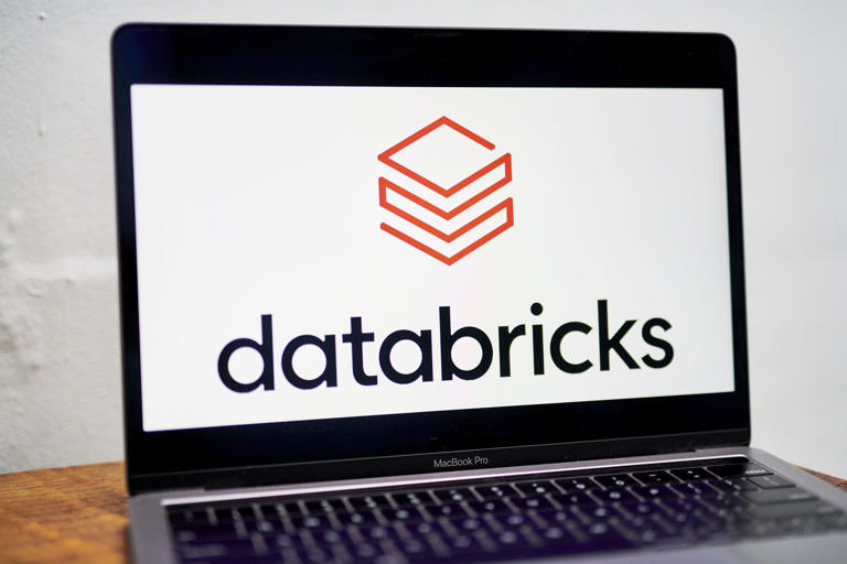 Databricks CEO plans to avoid IPO during year of huge offerings