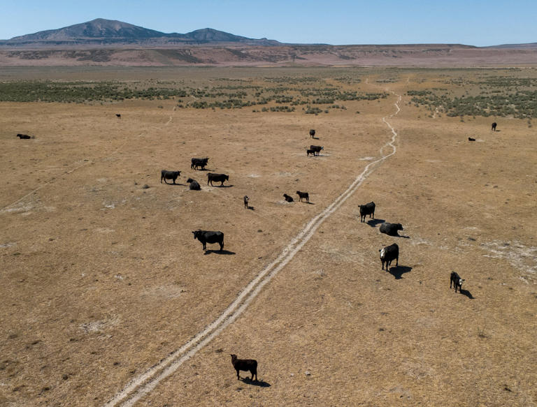 Kevin O’Leary’s massive data center cut down by half by Utah lawmakers