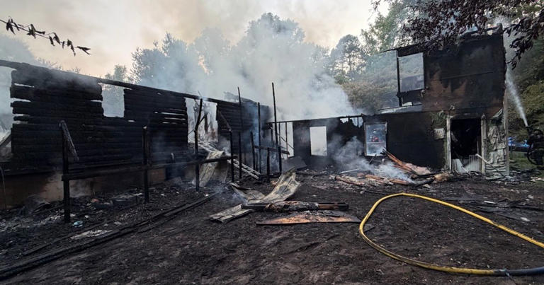 Dozens of rescue cats die in Wilson County fire