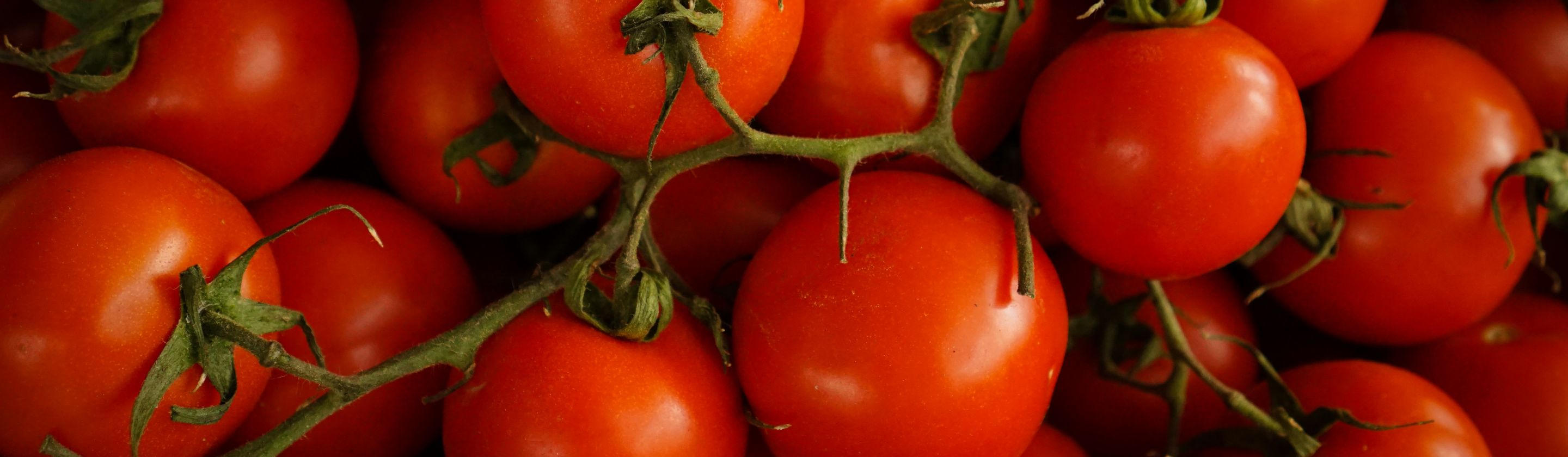 The strange history of the "poison apple"