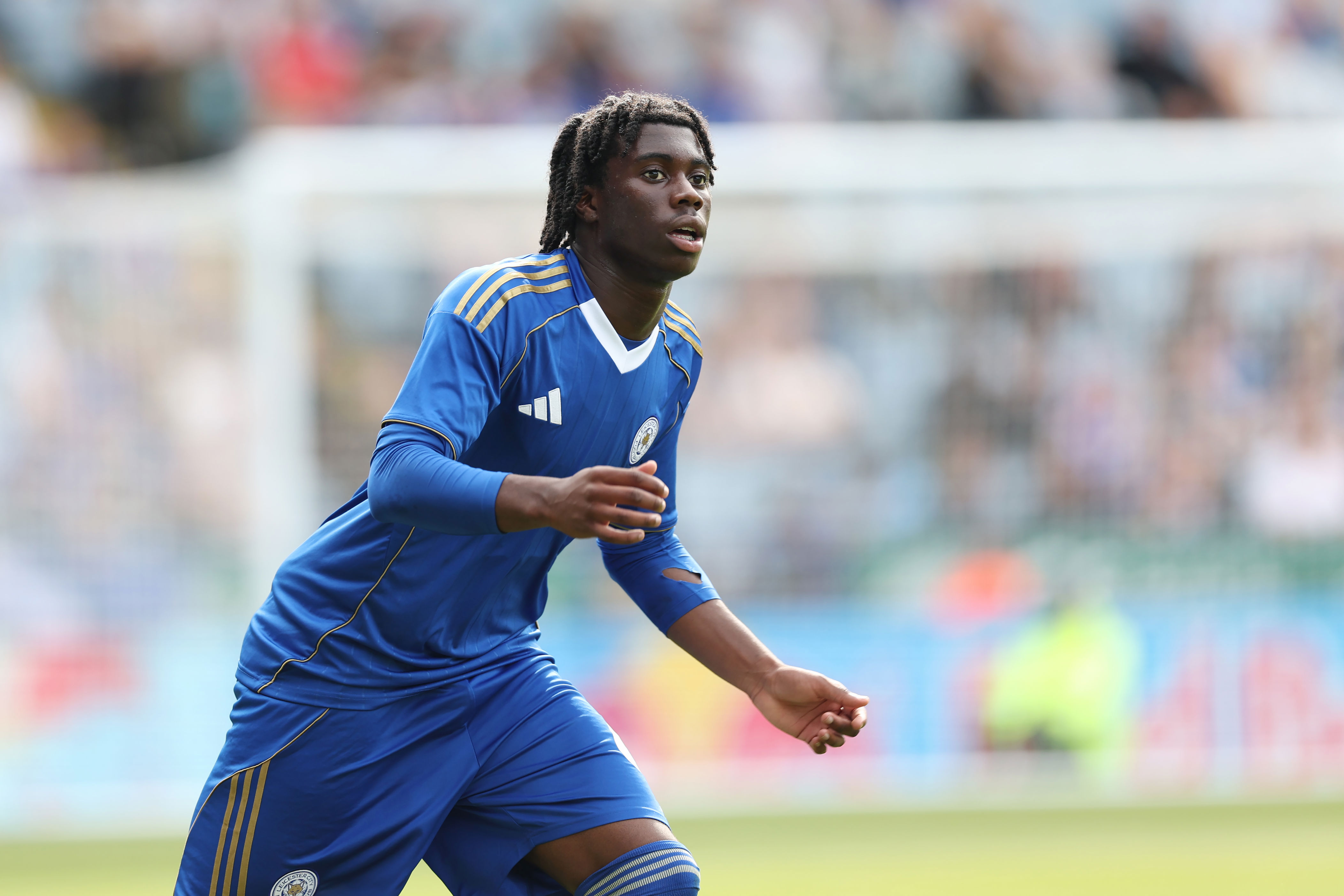 Arsenal in talks over teenage sensation as Sheffield Wednesday's ...