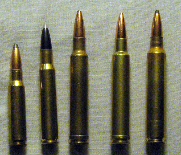 The .300 Win Mag vs 7mm Rem Mag debate, which big game caliber actually ...