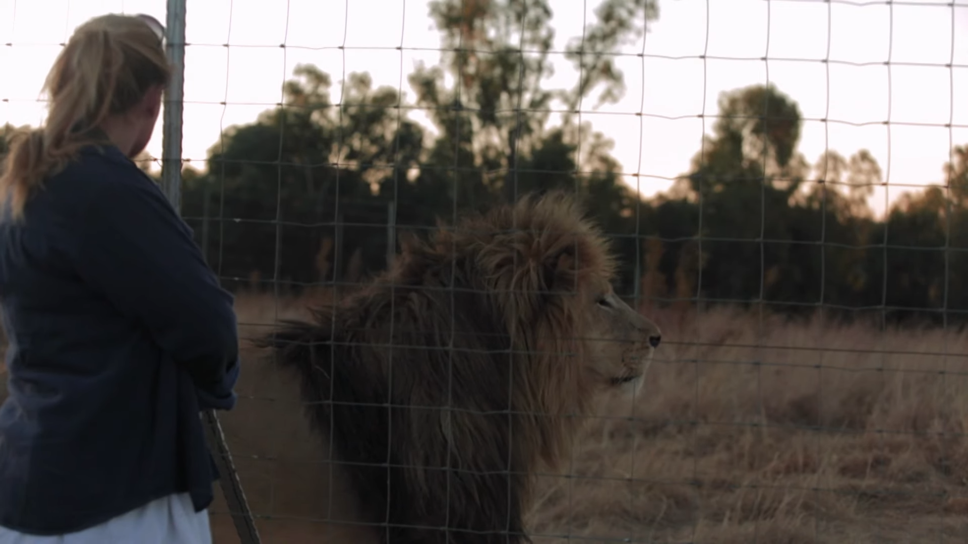 She fought to save them, but now she’s running out of time and money to ...