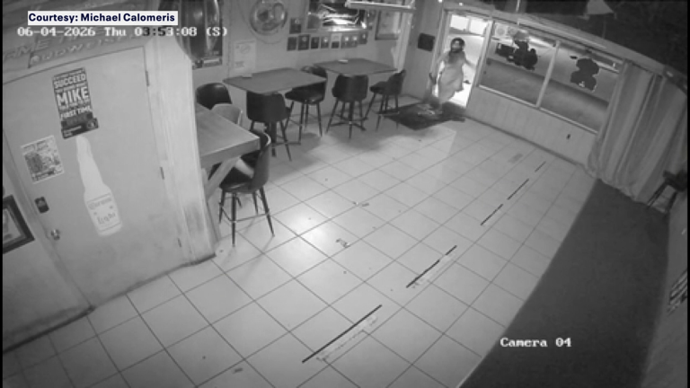 Sarasota County bar rampage: Woman accused of hurling bricks through ...