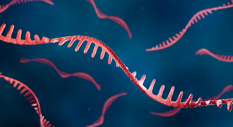 Eli Lilly continues genetic medicine push with $1.9bn Ascidian partnership