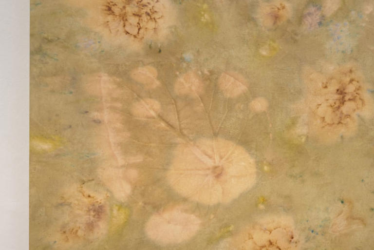 A Gradara la mostra dell'artista coreana che trasforma fiori e piante ...