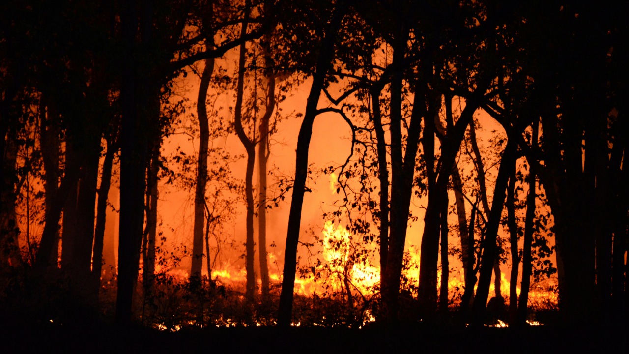 Canada is fighting 65 active wildfires with six classified out of ...