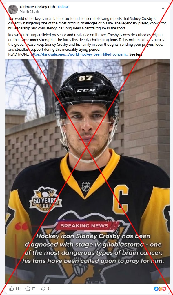 Meta removes fake hockey fan pages amid playoffs