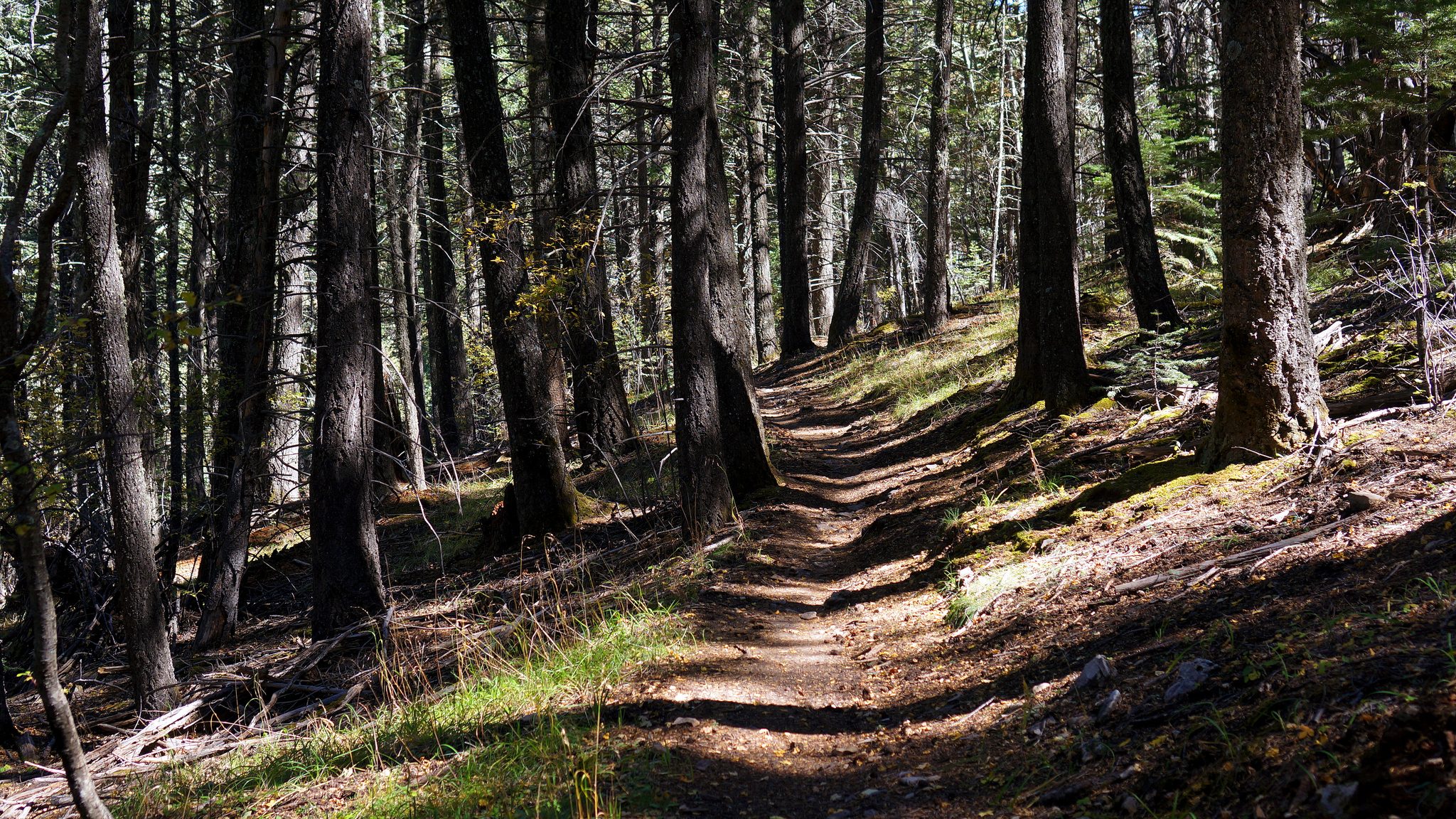 Wild New Mexico facts that are surprisingly true