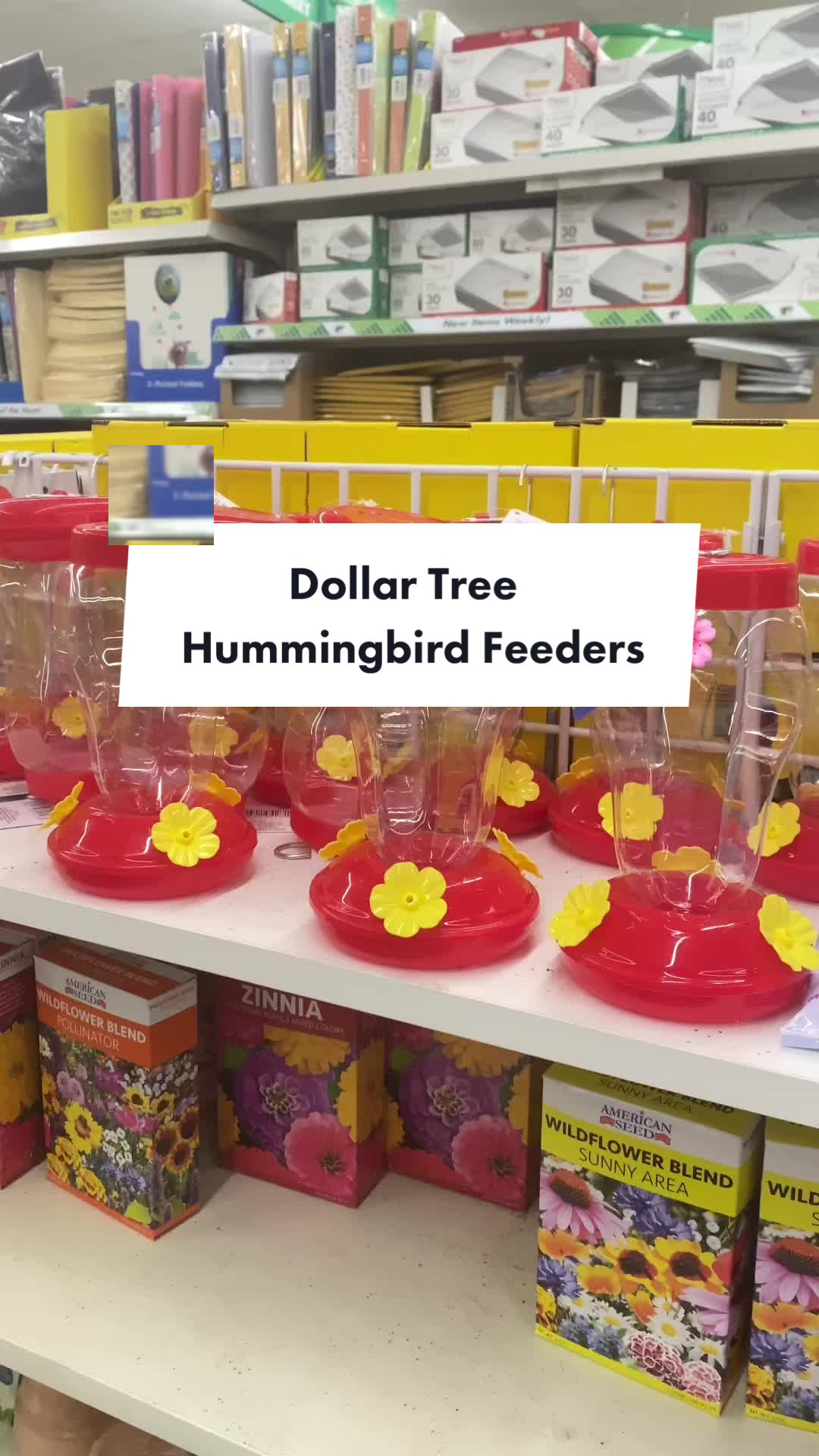 Secrets to choosing affordable birdfeeders that delight
