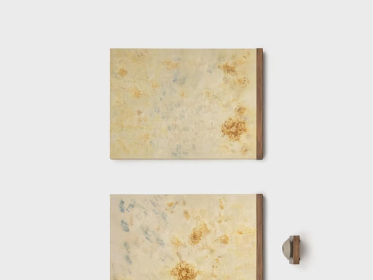 A Gradara la mostra dell'artista coreana che trasforma fiori e piante ...