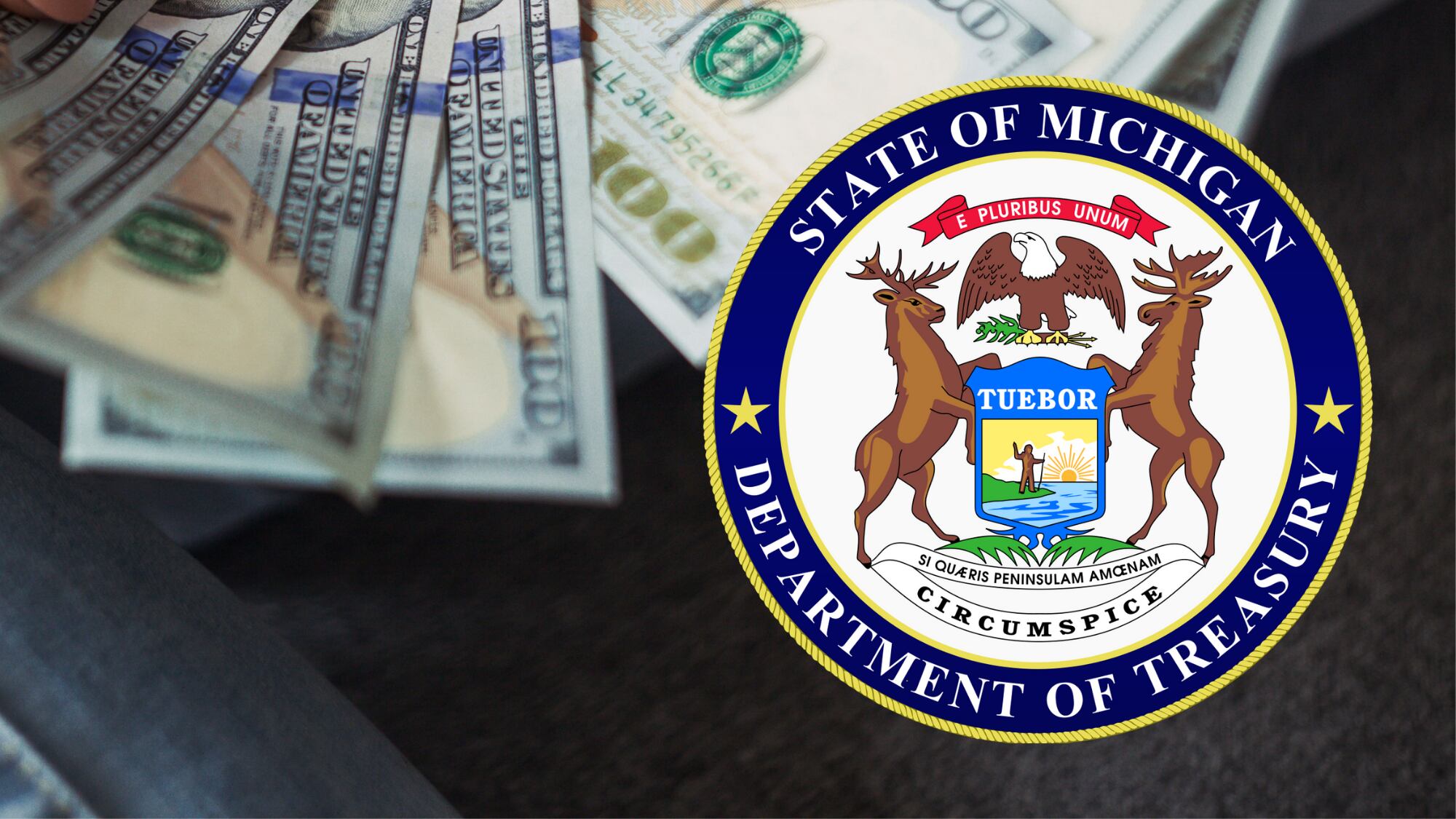 Michigan Treasury attributes tax return delays to new processing system