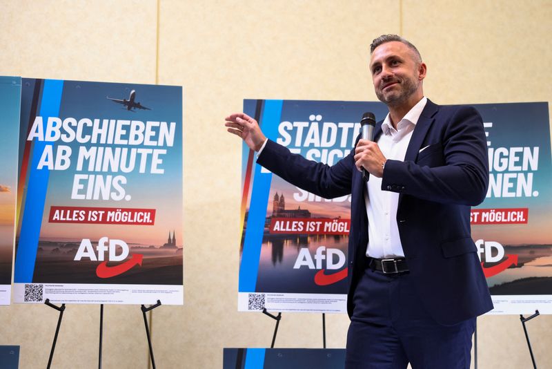 German far-right party takes aim at domestic security services