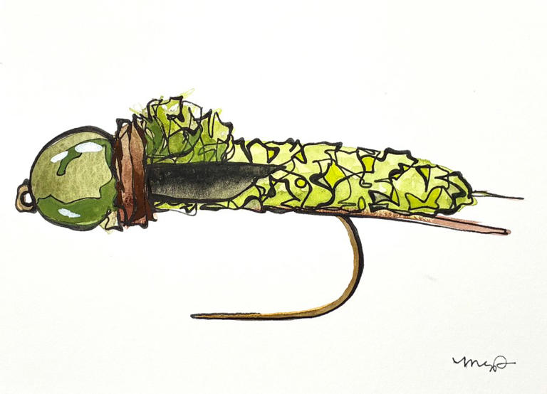 Virginia artist captures the awe in the ordinary; paints fish and ...