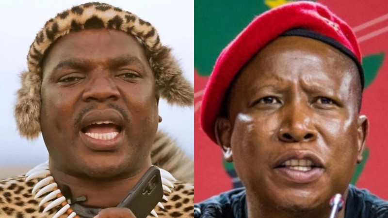 Ngizwe Mchunu retracts defamatory statements against Julius Malema ...