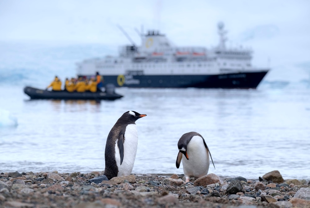 Cruise itineraries that sell out a year in advance