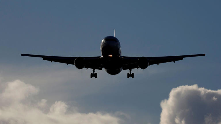 Pilots praised for calmly dealing with jammed flight control