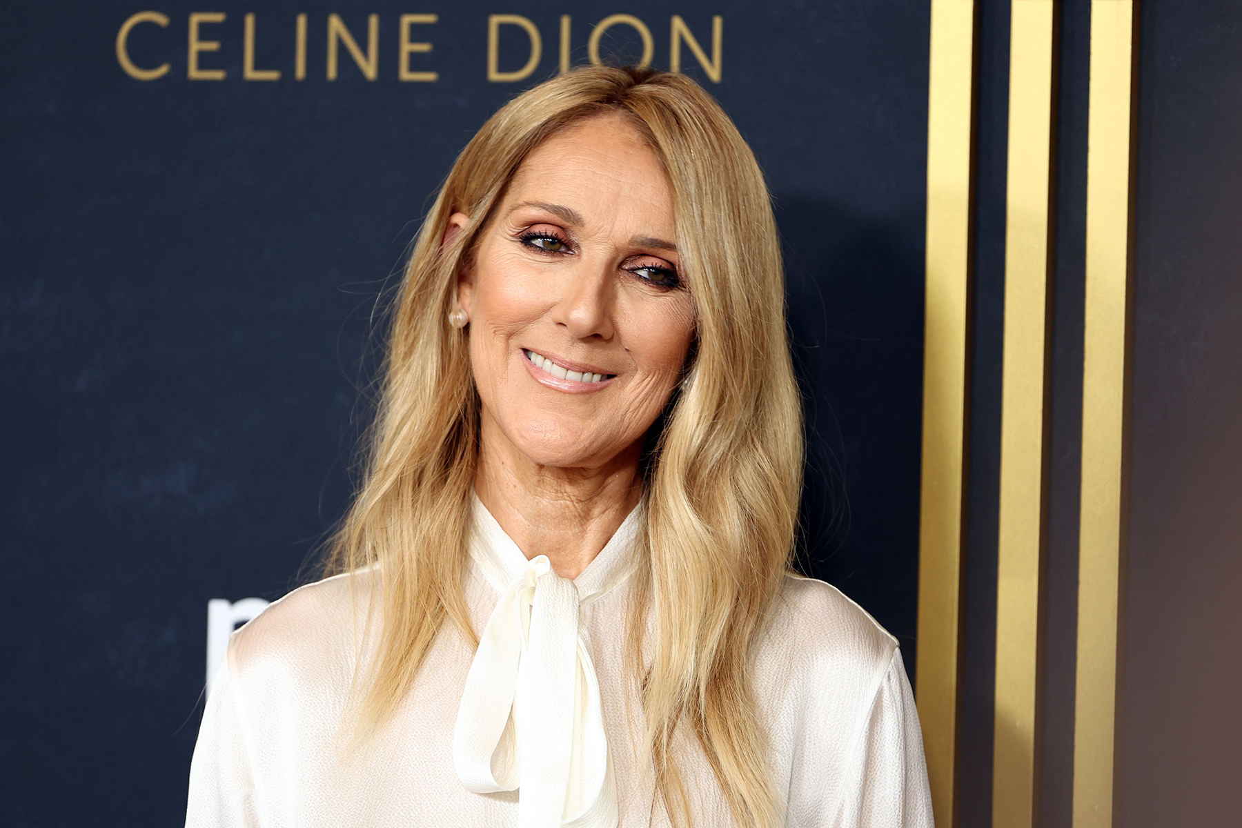 Celine Dion ticket sale halted by Ticketmaster