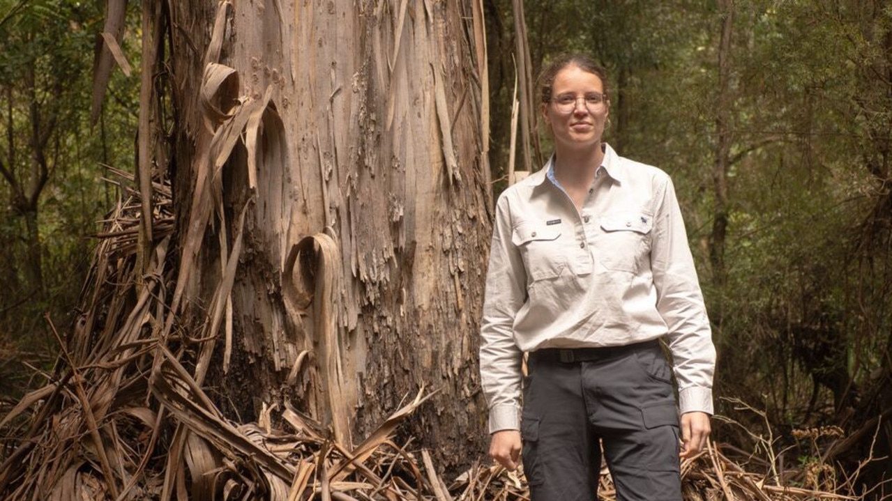 Alarm bells over land clearing after landmark report