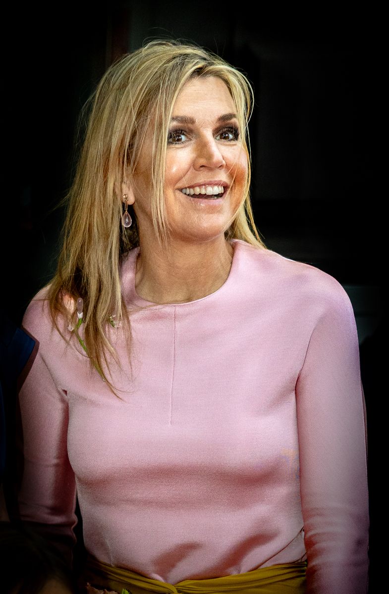 Queen Máxima dazzles in metallic gold and blush pink at Holland ...
