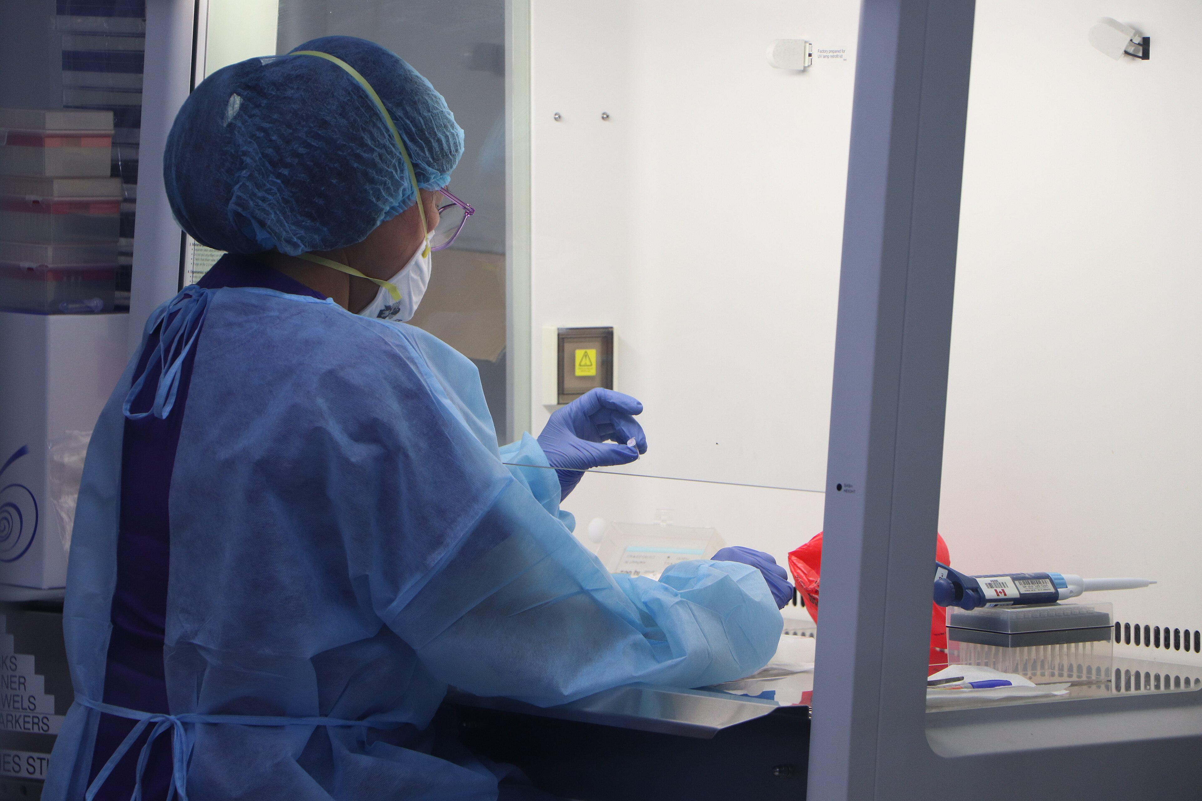 Federal scientists charged after attempt to secretly bring 113 virus ...